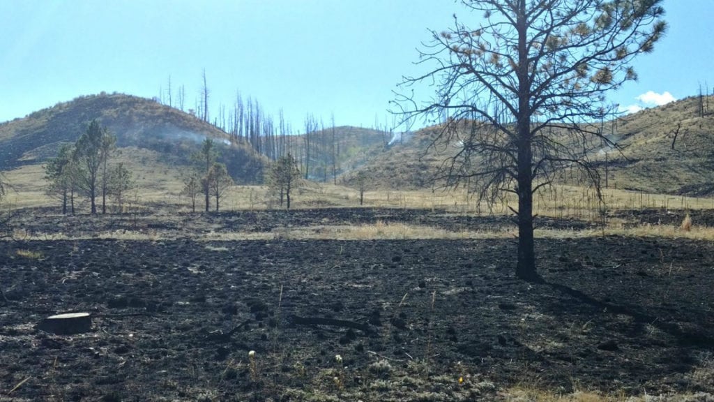 Firefighters letting Turkey Track 8 Fire smolder, keeping public informed