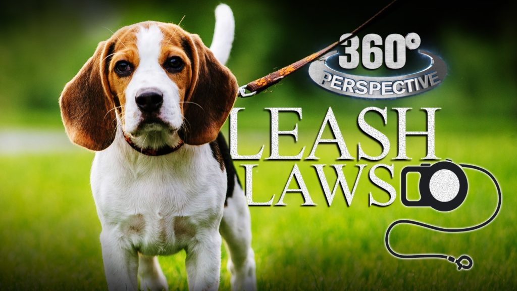 360 Perspective Leash Laws