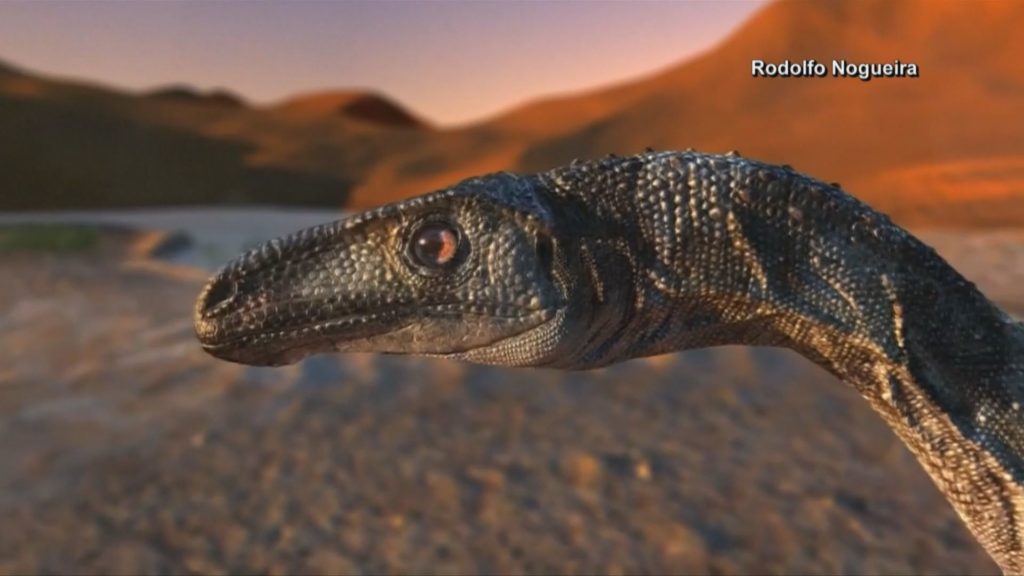 New dino species discovered in Brazil